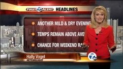 Hally Vogel - WXYZ 7 Detroit - TvNewsCaps